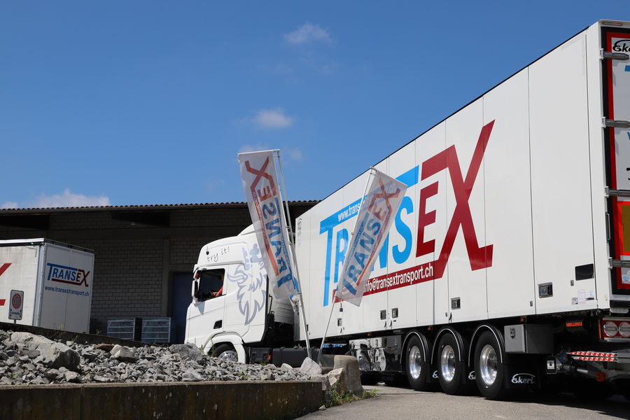 Elvis Suisse - Transex Bern AG